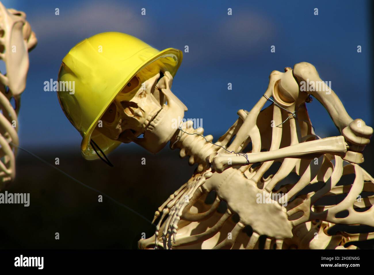 Close-up shot of a human skeleton with a yellow construction helmet on ...