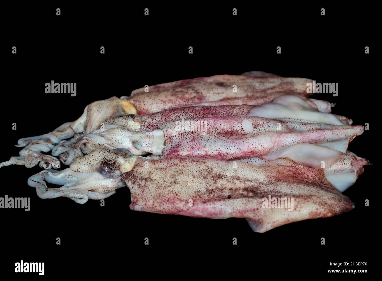 Elongated squid hi-res stock photography and images - Alamy