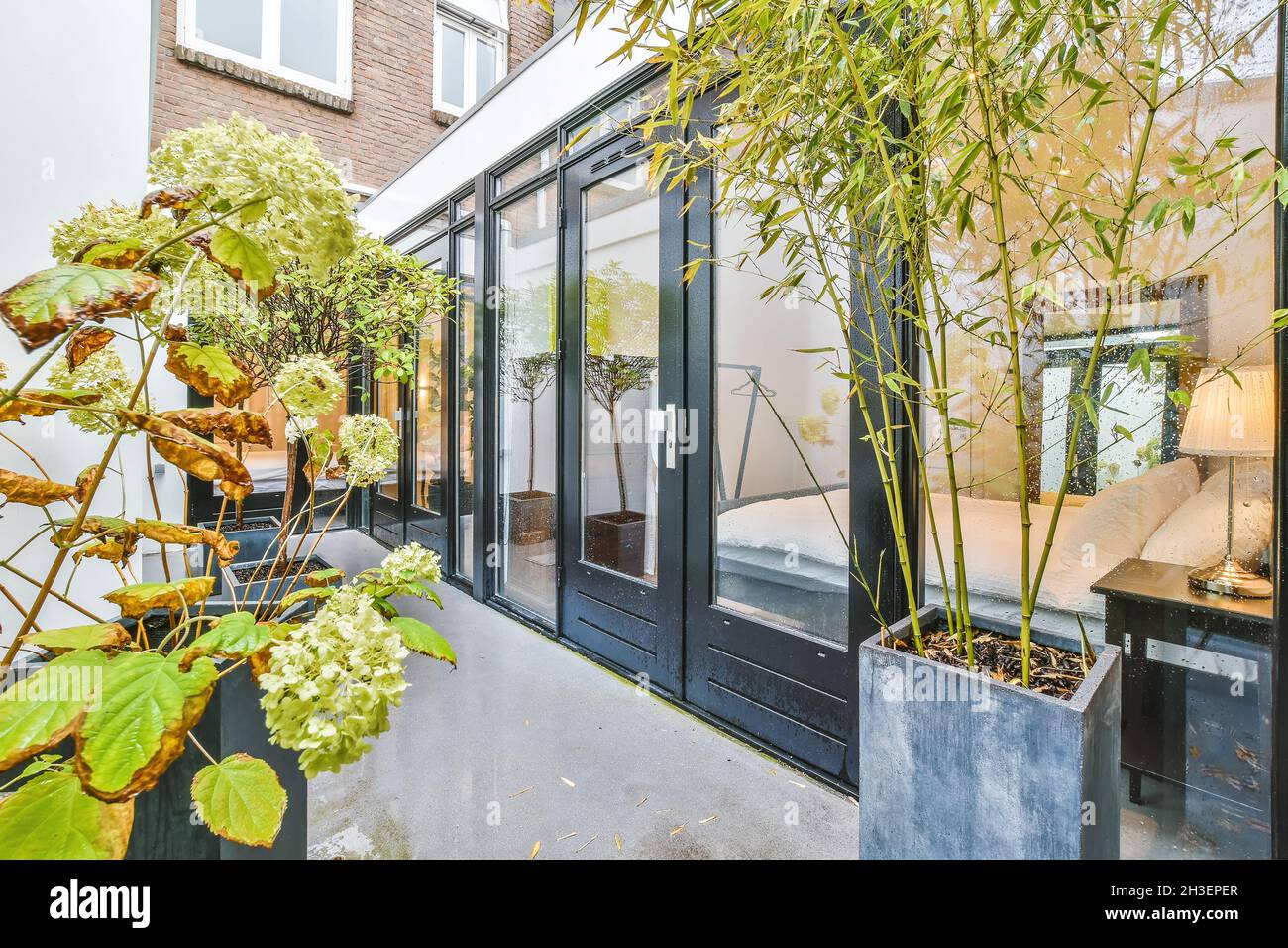 Lovely stylish courtyard with trees and window Stock Photo - Alamy
