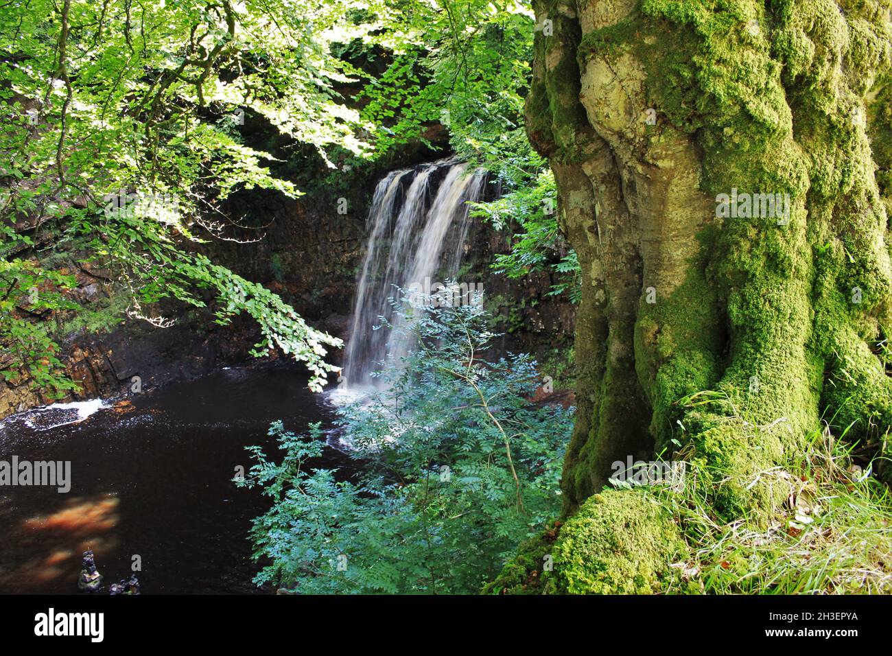 Doon glen waterfall hi-res stock photography and images - Alamy