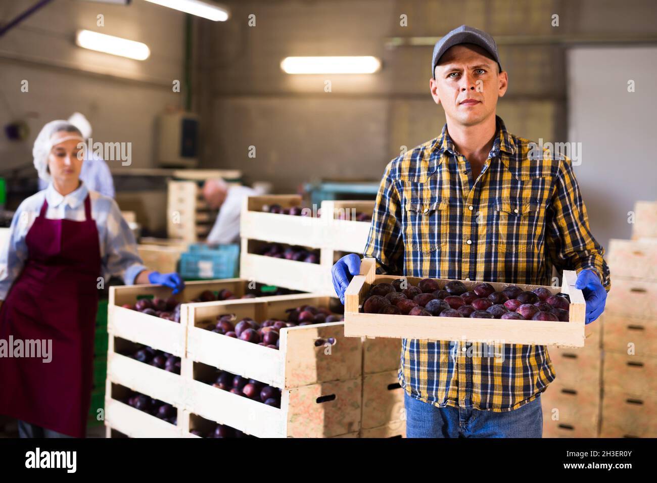 Man stacking boxes with plums at fruit warehouse Stock Photo - Alamy
