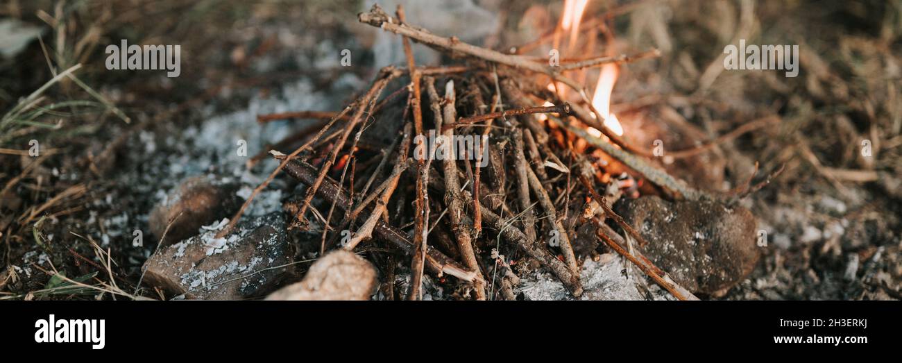 small children's campfire in the forest on the ground. dry twigs of ...