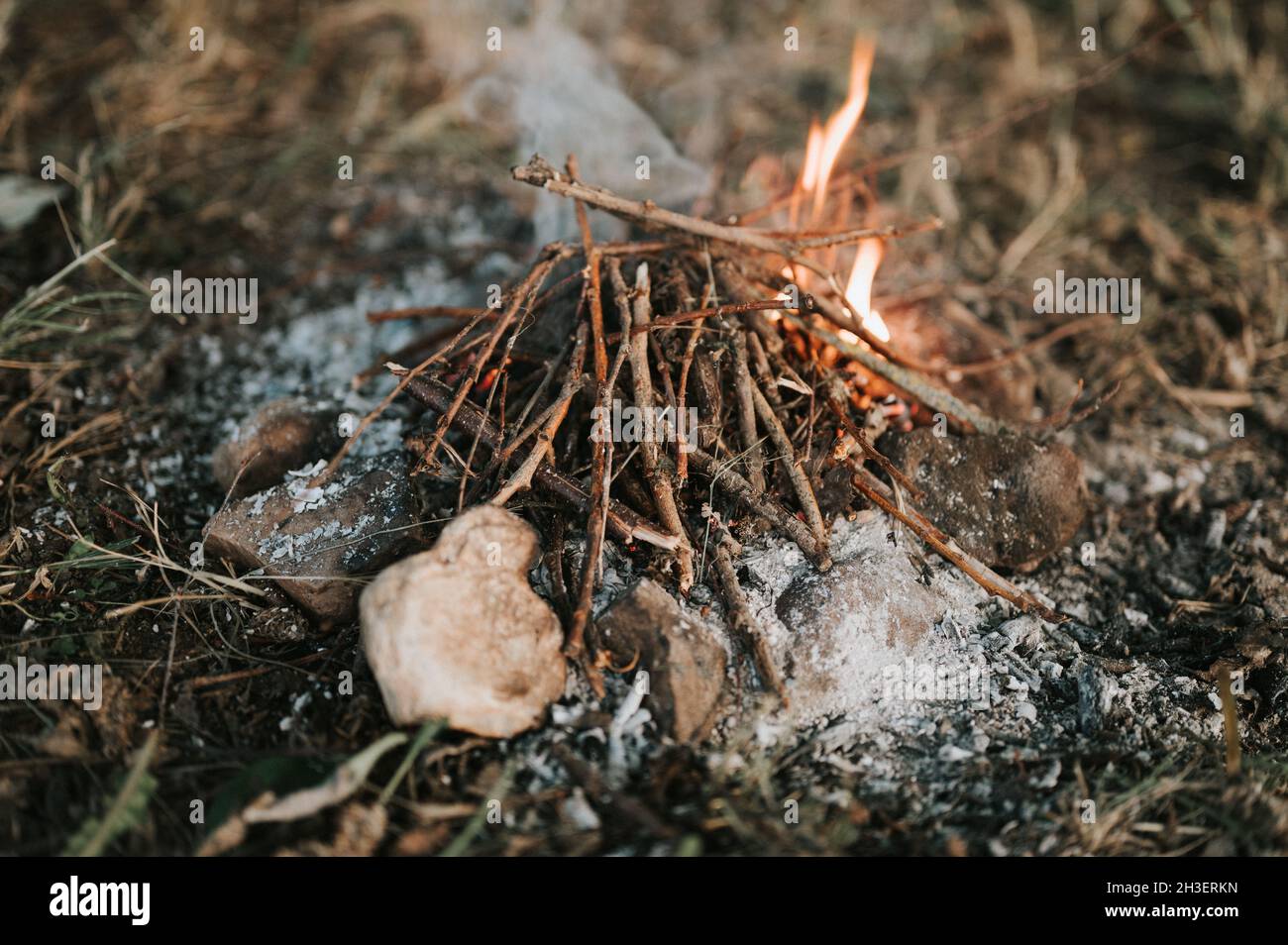 small children's campfire in the forest on the ground. dry twigs of ...