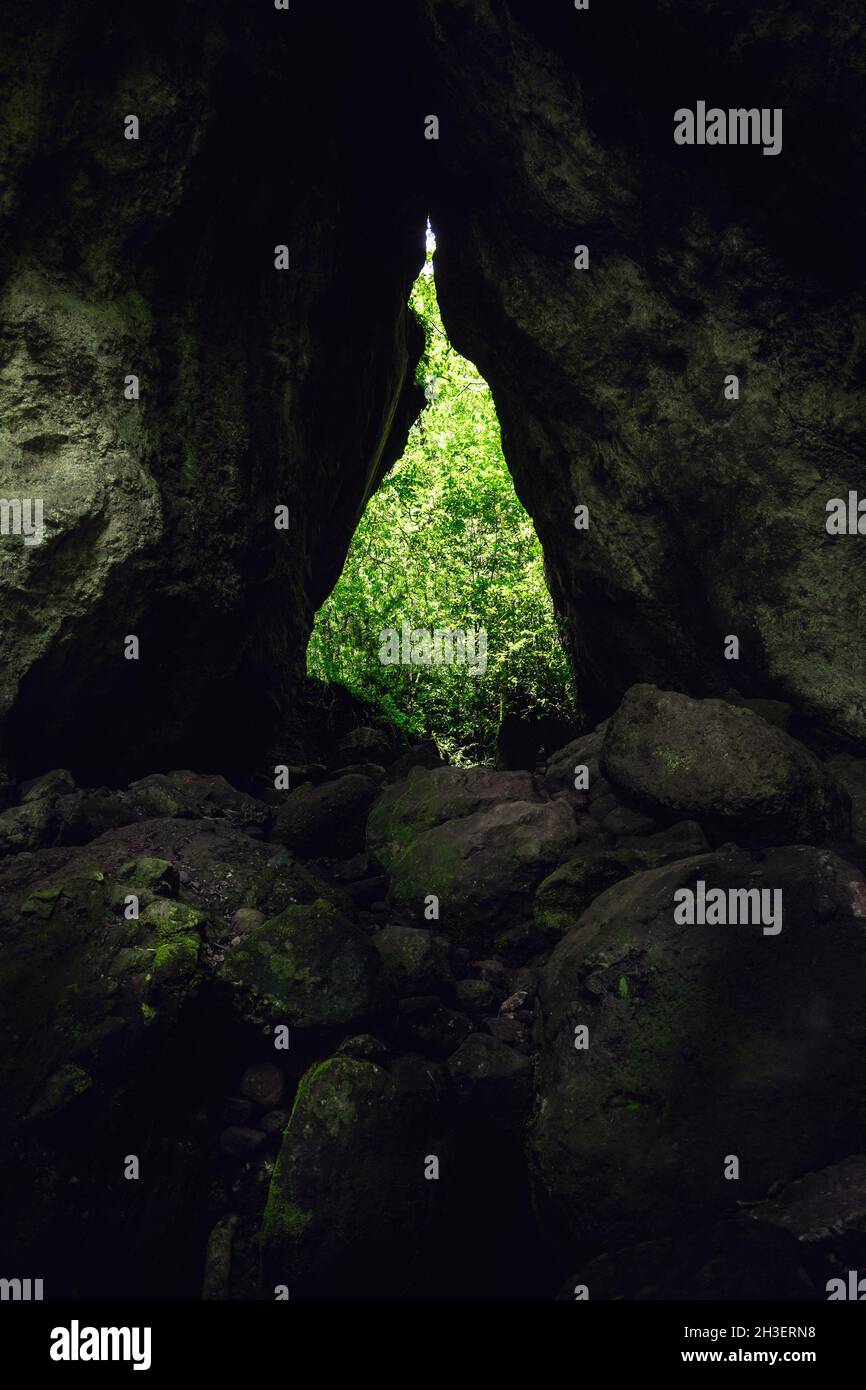 Vertical shot of the dark rocks of the cave with the view of green ...