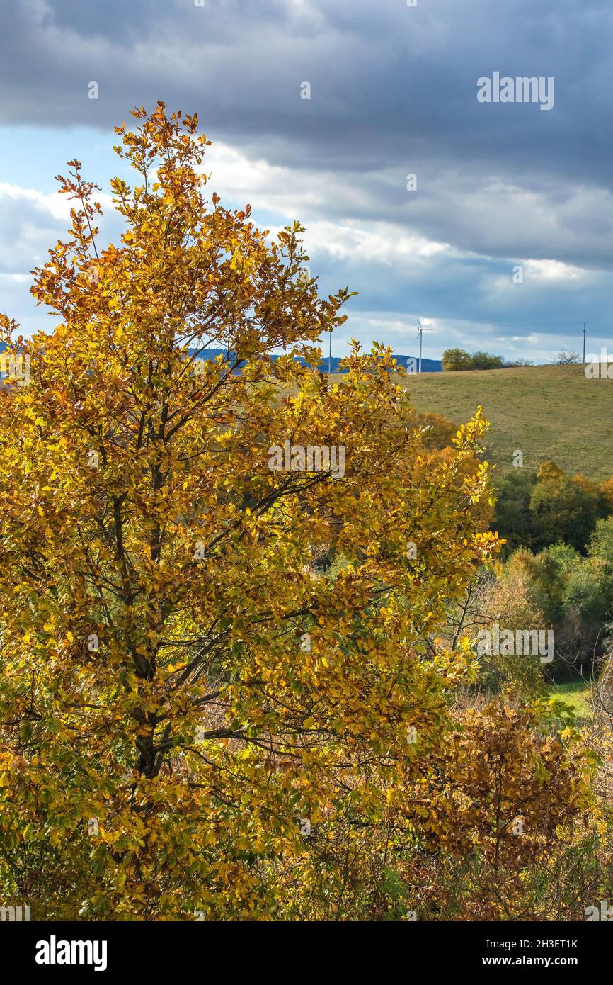 Colors of Autumn. Morning view of the autumn landscape in Czech ...