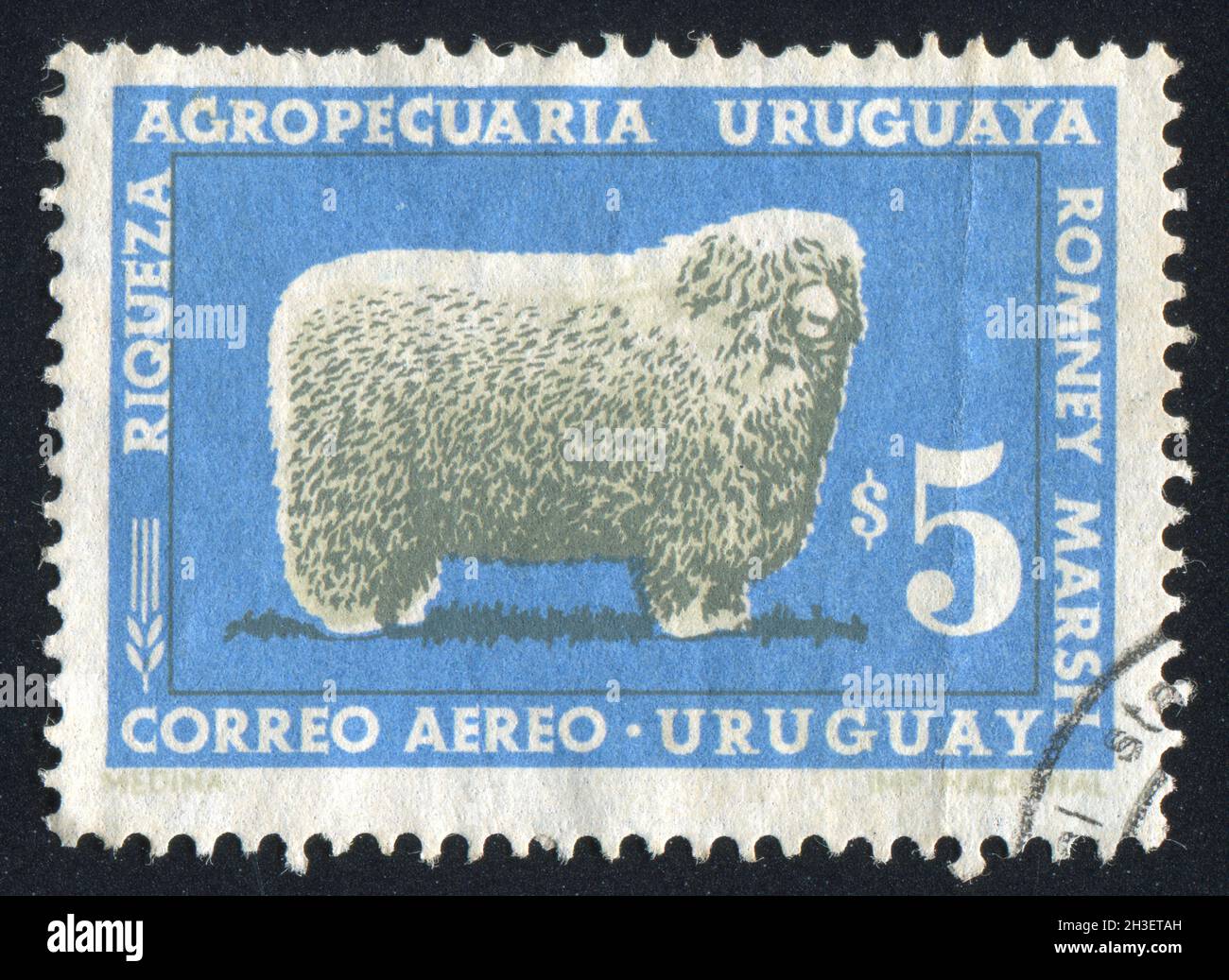 URUGUAY - CIRCA 1967: stamp printed by Uruguay, shows Corriedale Ram ...