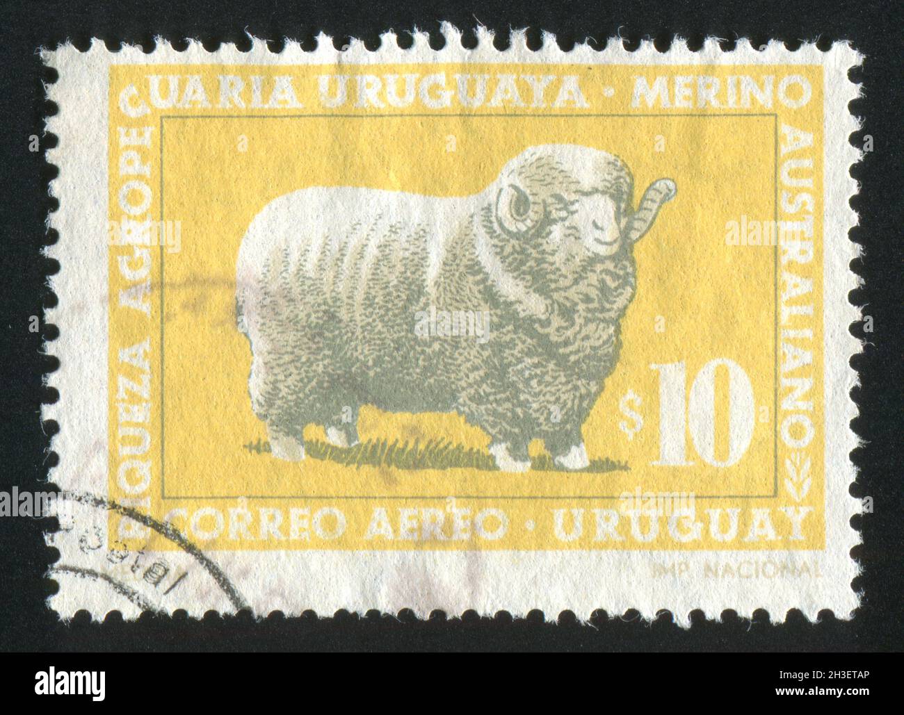URUGUAY - CIRCA 1967: stamp printed by Uruguay, shows Corriedale Ram ...