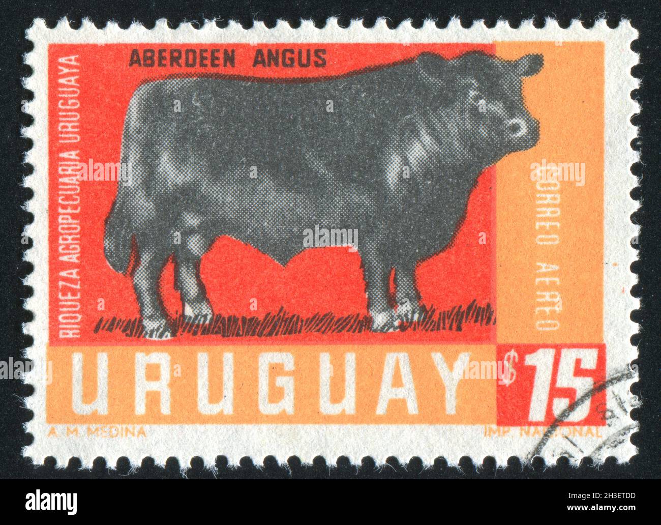 URUGUAY - CIRCA 1966: stamp printed by Uruguay, shows Aberdeen Angus ...