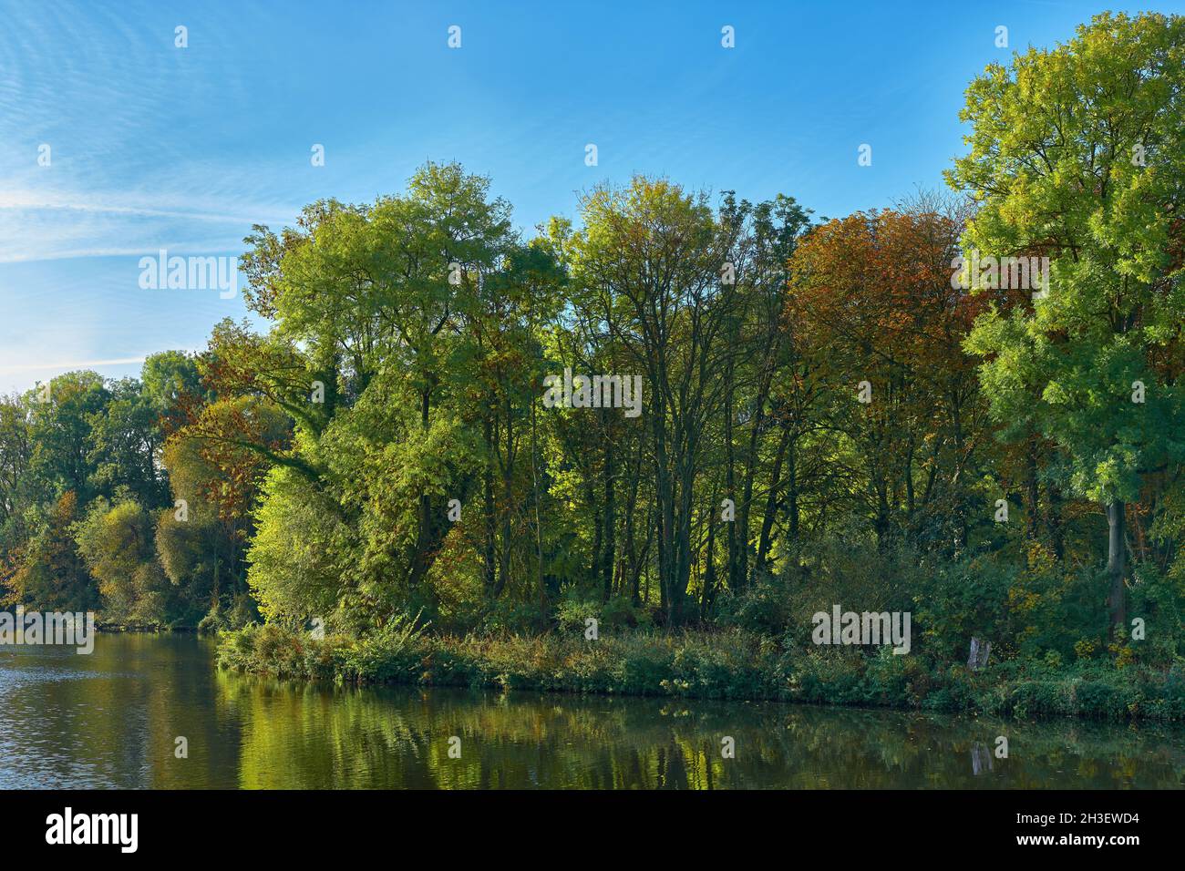 Eine Insel vor dem Wasserwerk auf der Leine - The Leine River in ...
