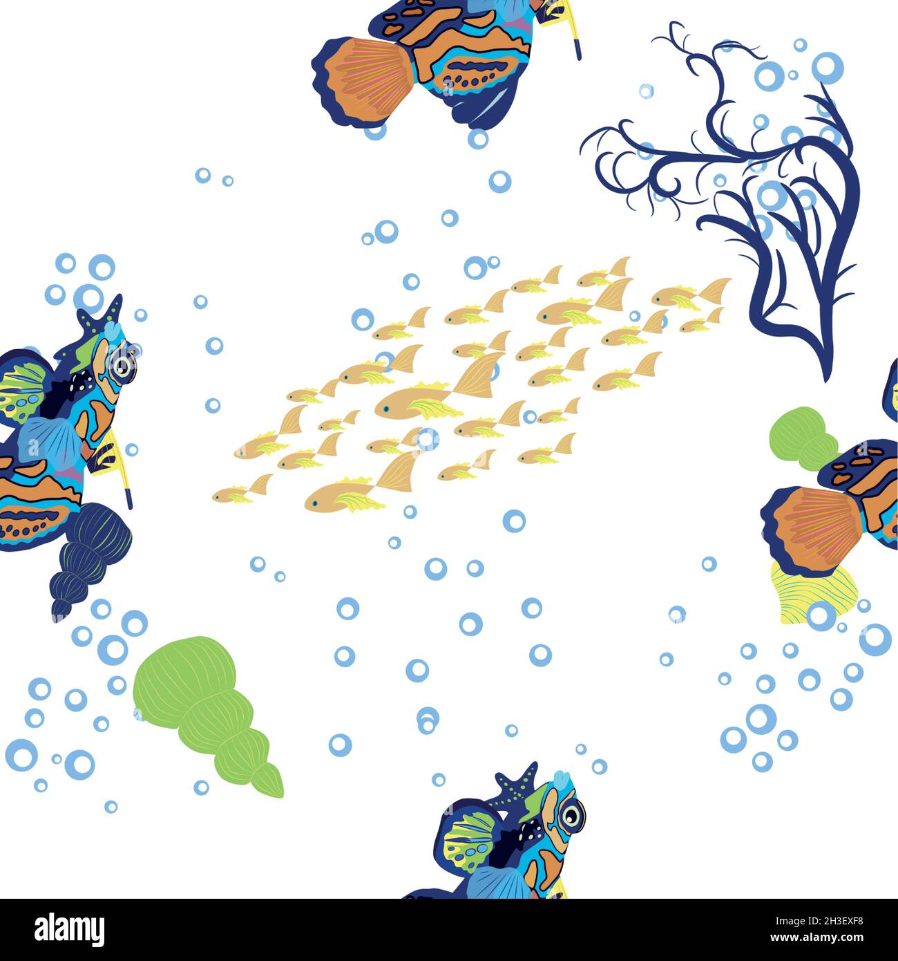 Mandarin fish seamless patterns. beautiful character among seashells ...
