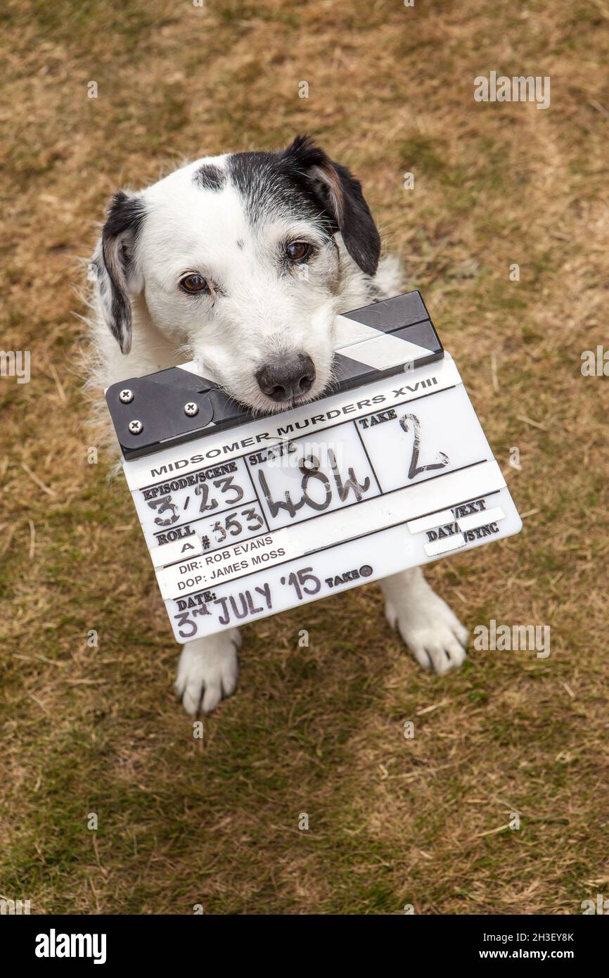 What Happened To Sykes The Dog From Midsomer Murders