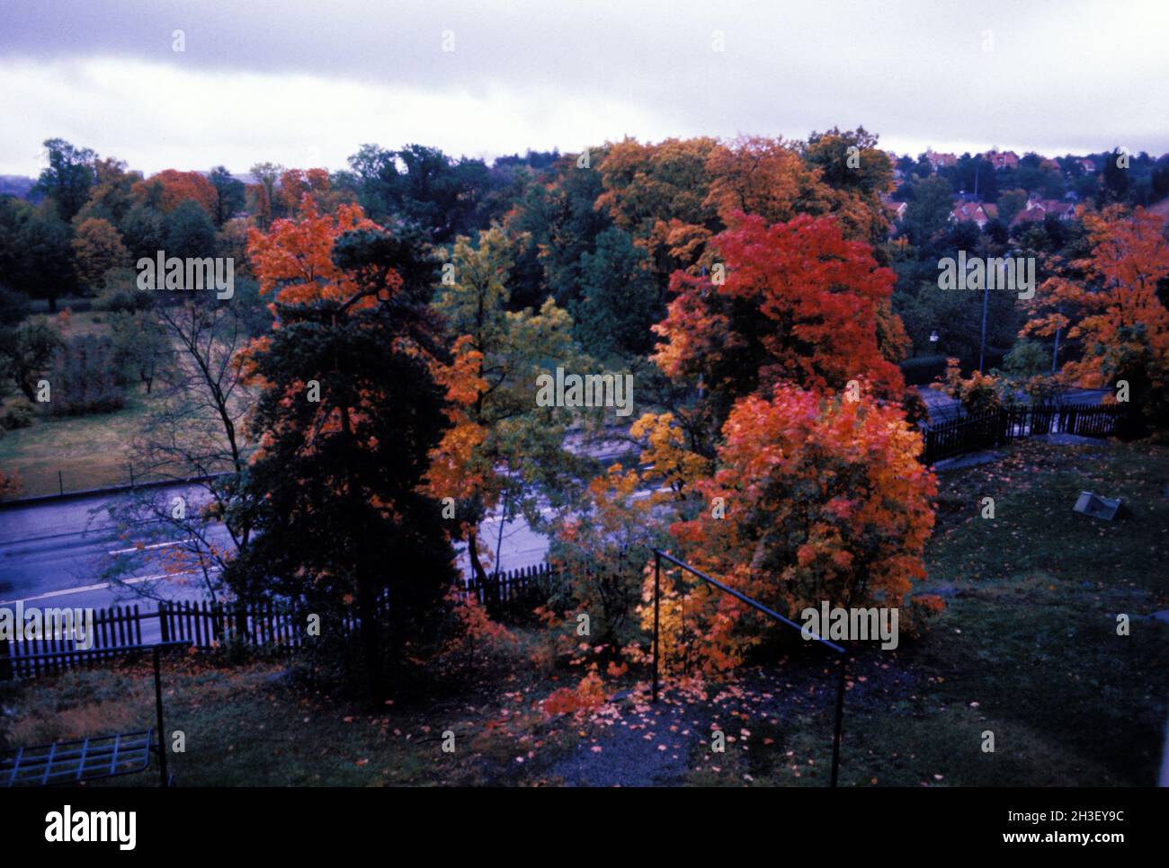 Stockholm, Sweden in 1977, analog. View of Ulvsunda Park from a window ...