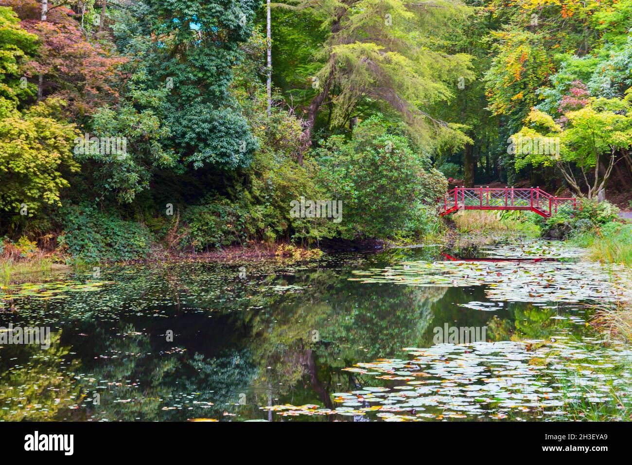 Red japanese bridge hi-res stock photography and images - Alamy