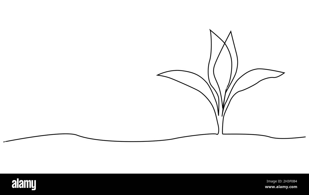 Plant Sprout Drawing