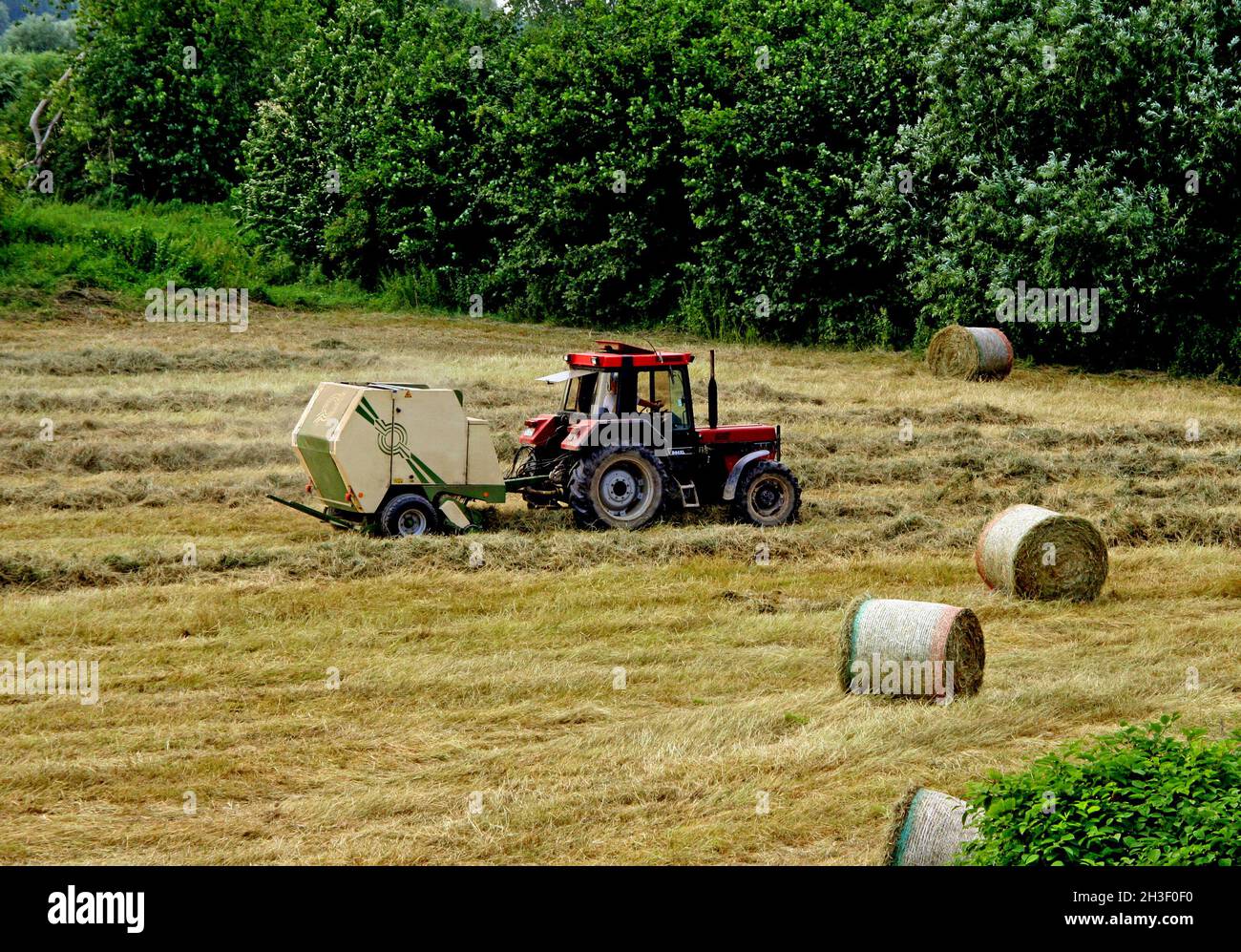 Fieldwork hi-res stock photography and images - Alamy