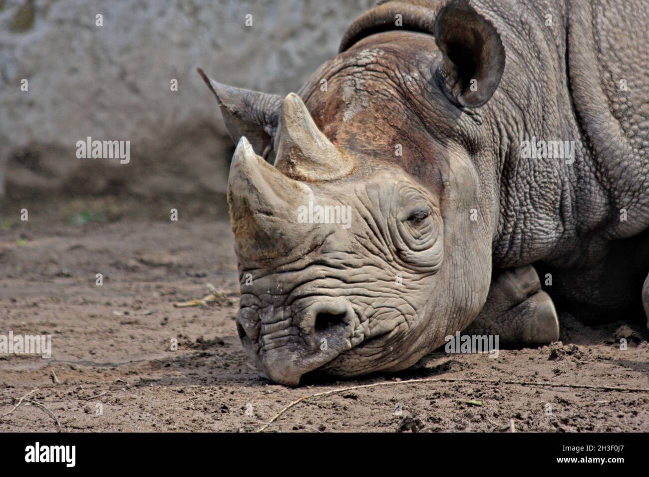 Crumple zone hi-res stock photography and images - Alamy