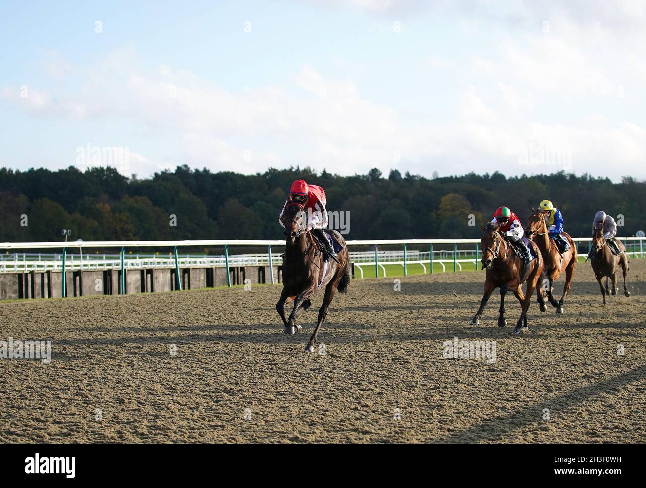 The honky tonk man hi-res stock photography and images - Alamy