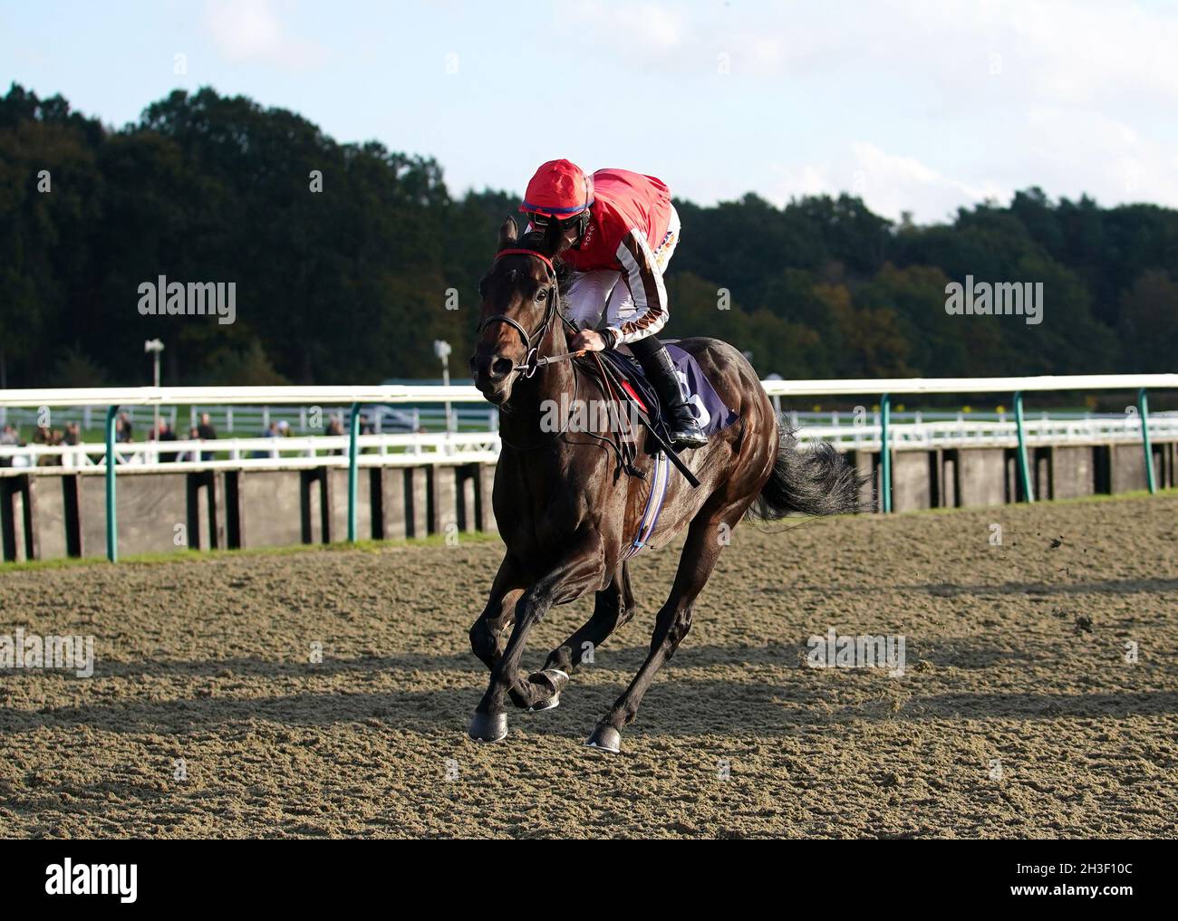 The honky tonk man hi-res stock photography and images - Alamy