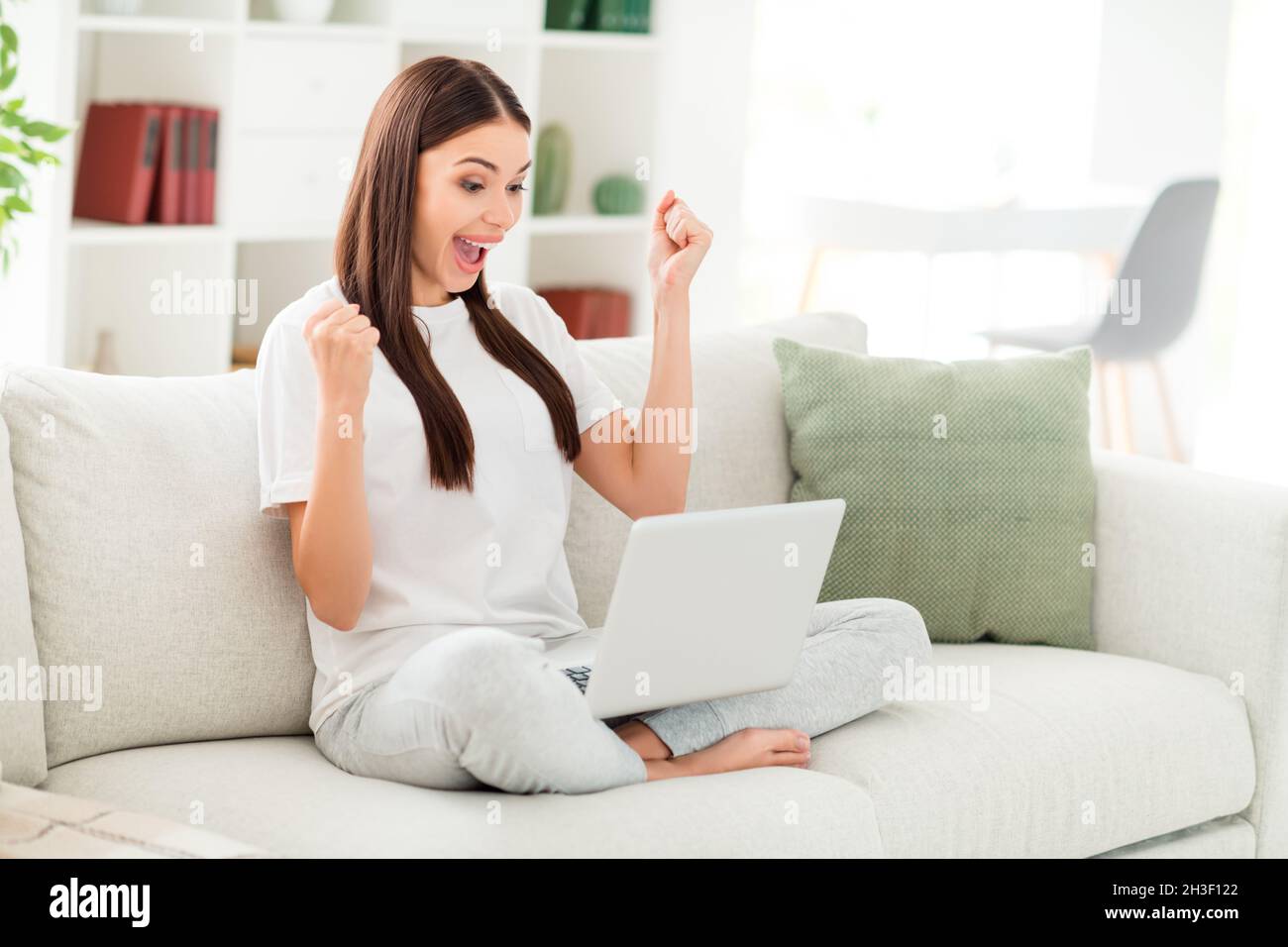 Photo of crazy winner lady look netbook screen rejoice scream wear ...