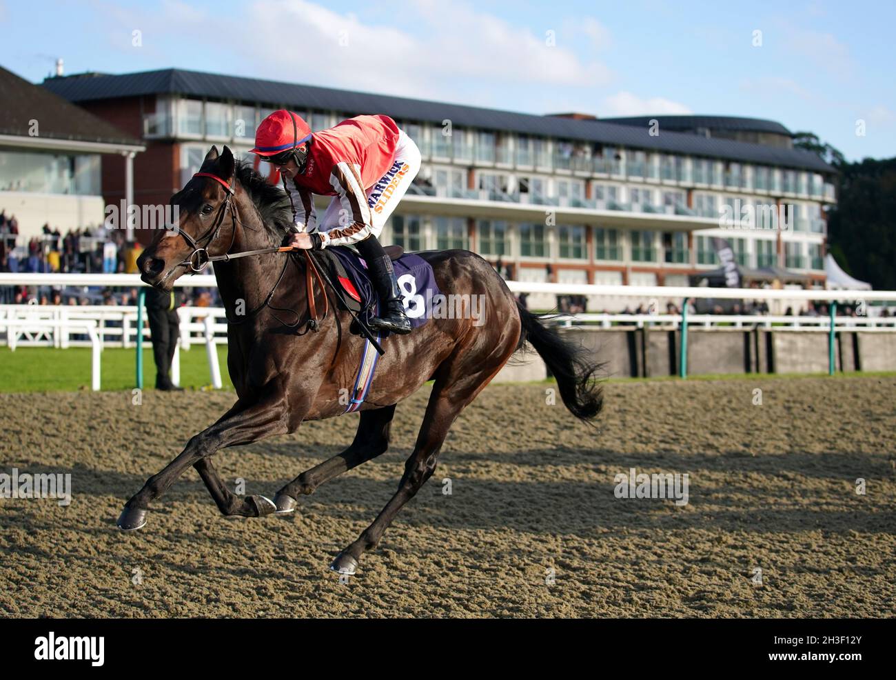 The honky tonk man hi-res stock photography and images - Alamy