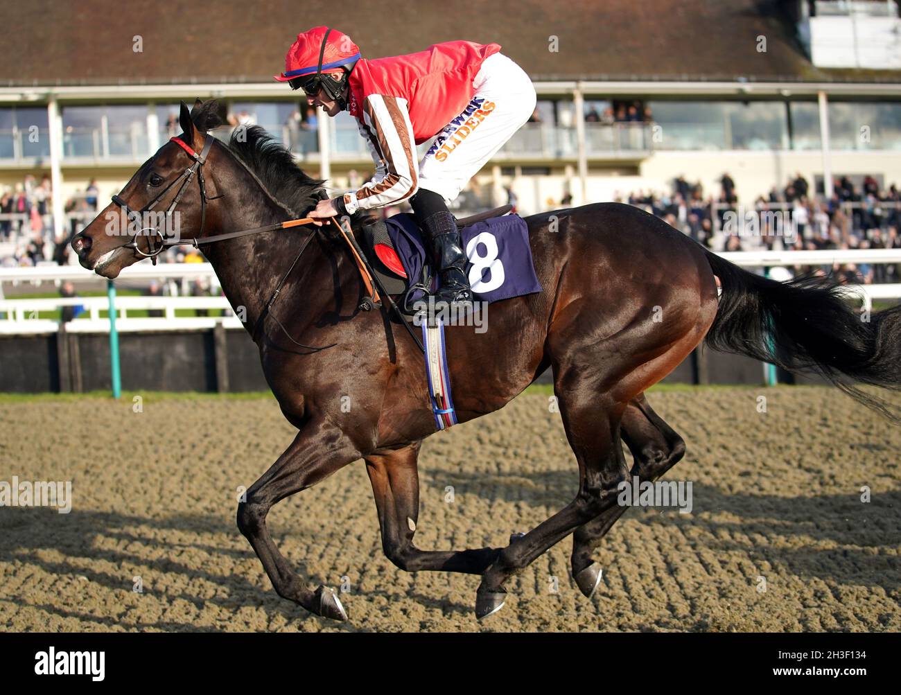 The honky tonk man hi-res stock photography and images - Alamy