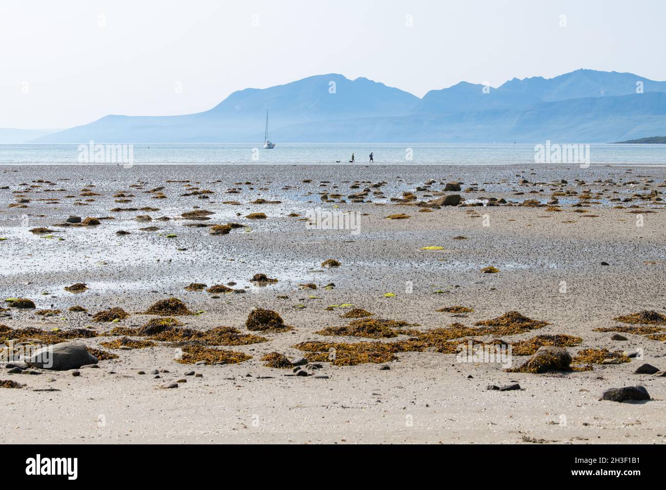 Dog walkers on scottish beach hi-res stock photography and images - Alamy