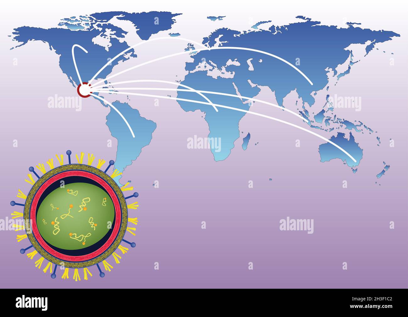 H5n1 virus illustration hi-res stock photography and images - Alamy
