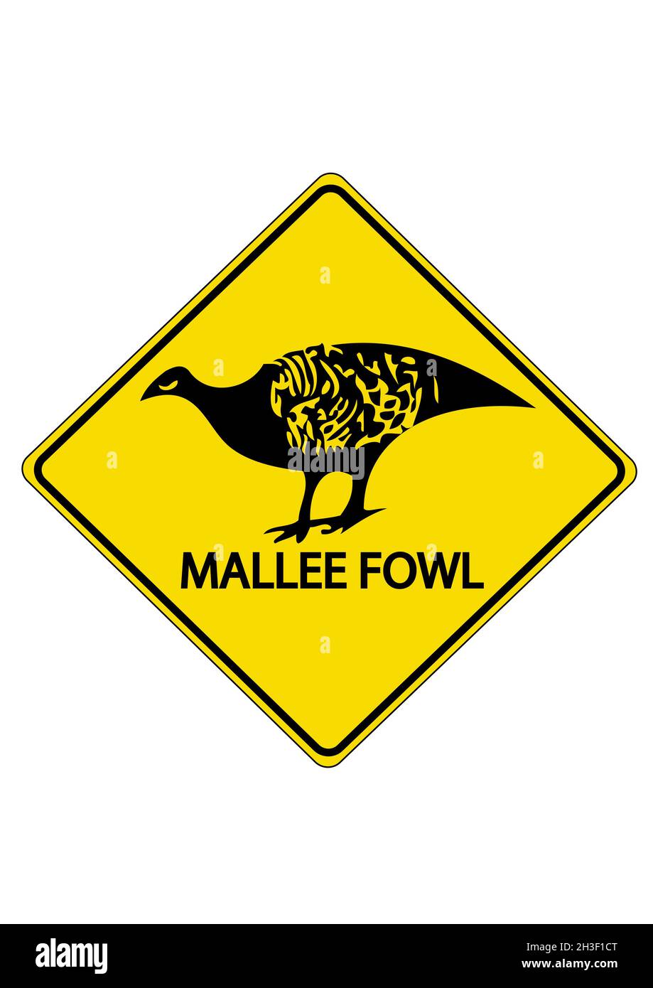 Mallee fowl illustration hi-res stock photography and images - Alamy