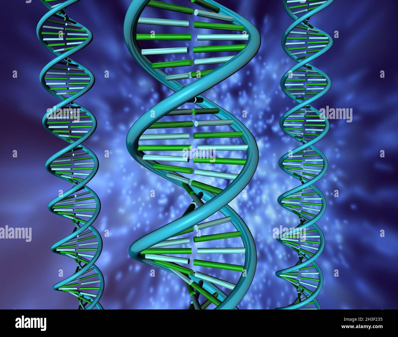 Dns analysis hi-res stock photography and images - Alamy