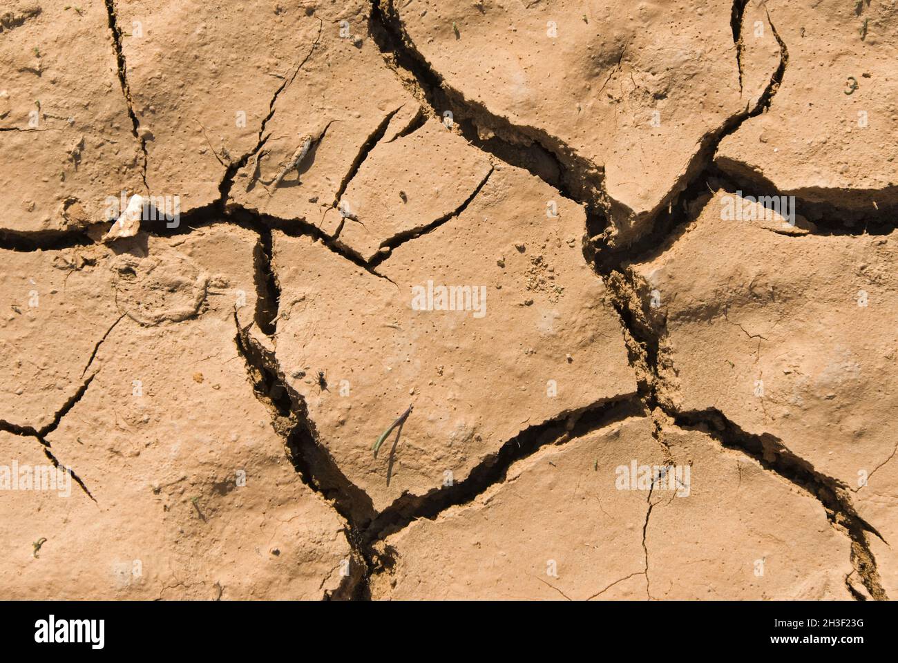Dried up earth Stock Photo - Alamy