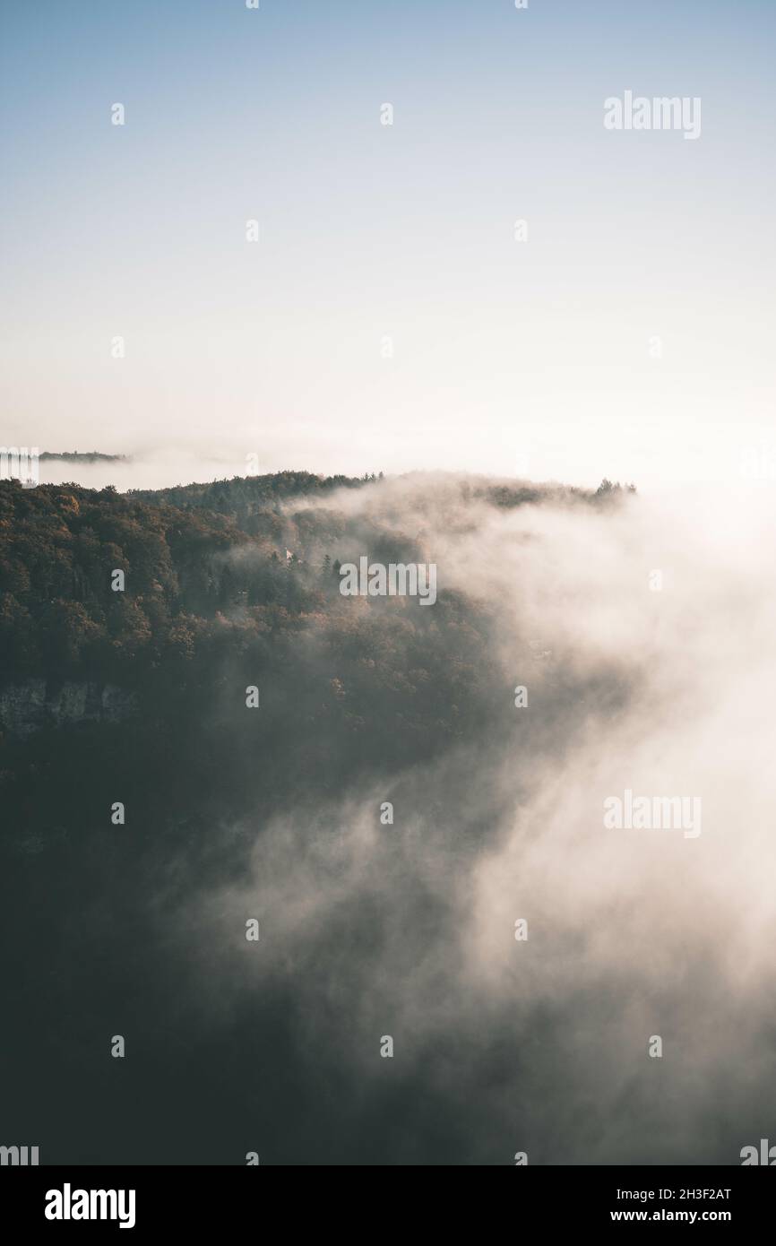 Mesmerizing view of Fog over the forest with smoky atmosphere Stock ...