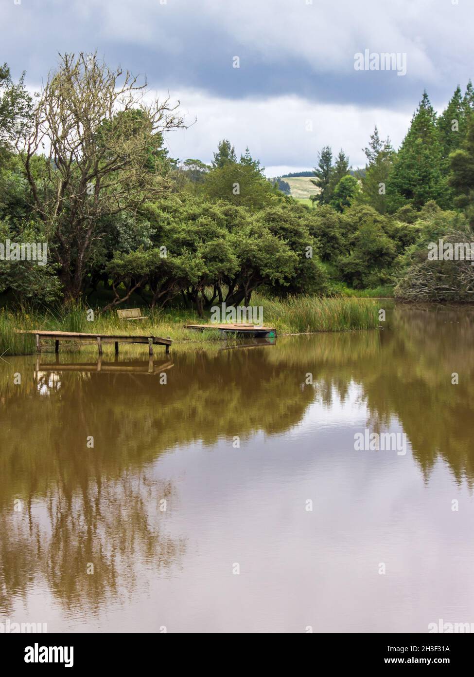 Tranquil view over a small fishing lake, reflecting the surrounding ...