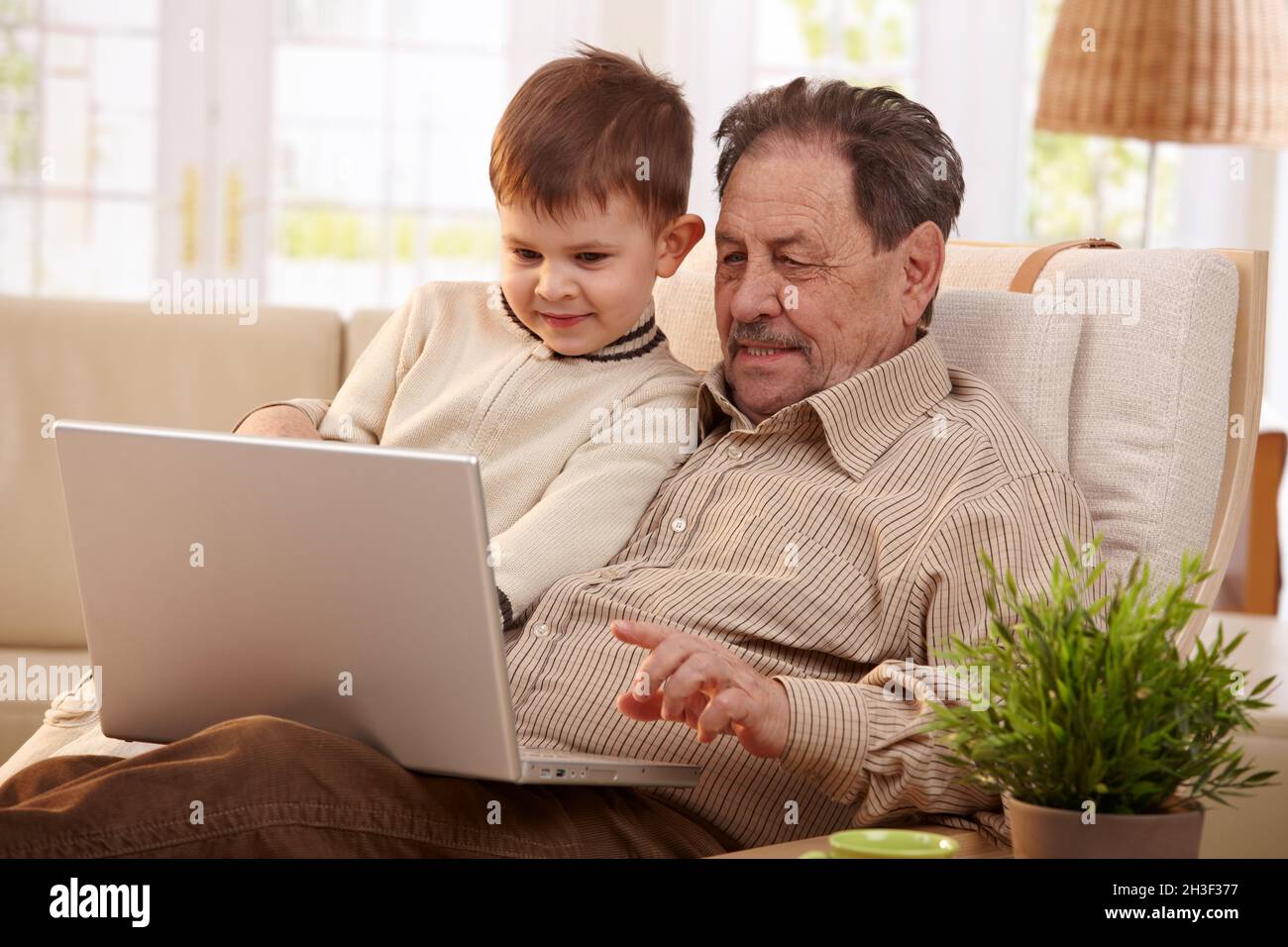Grandfather using computer at home Stock Photo - Alamy