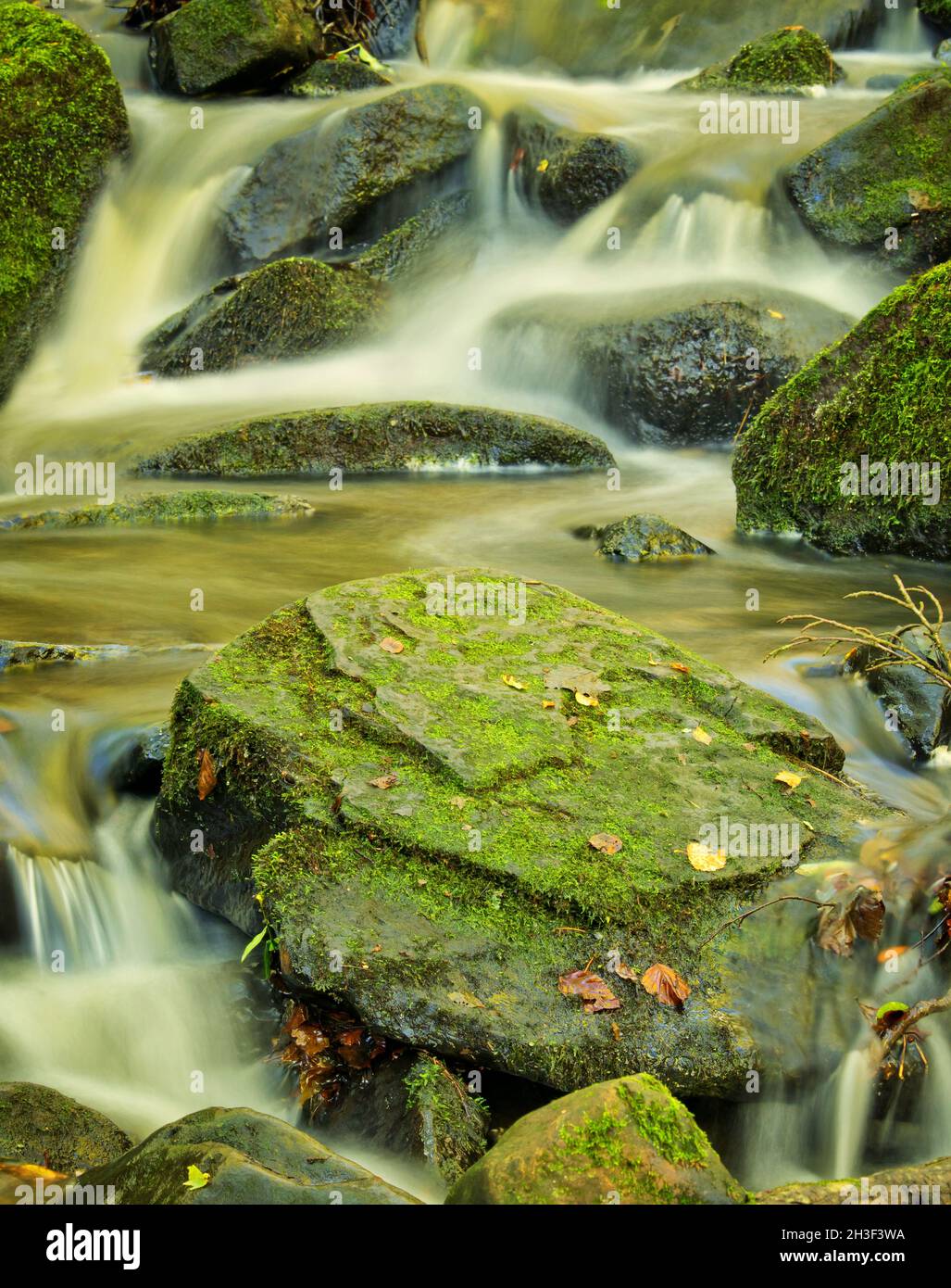 The concept of a pattern in nature, created by flowing water in a ...