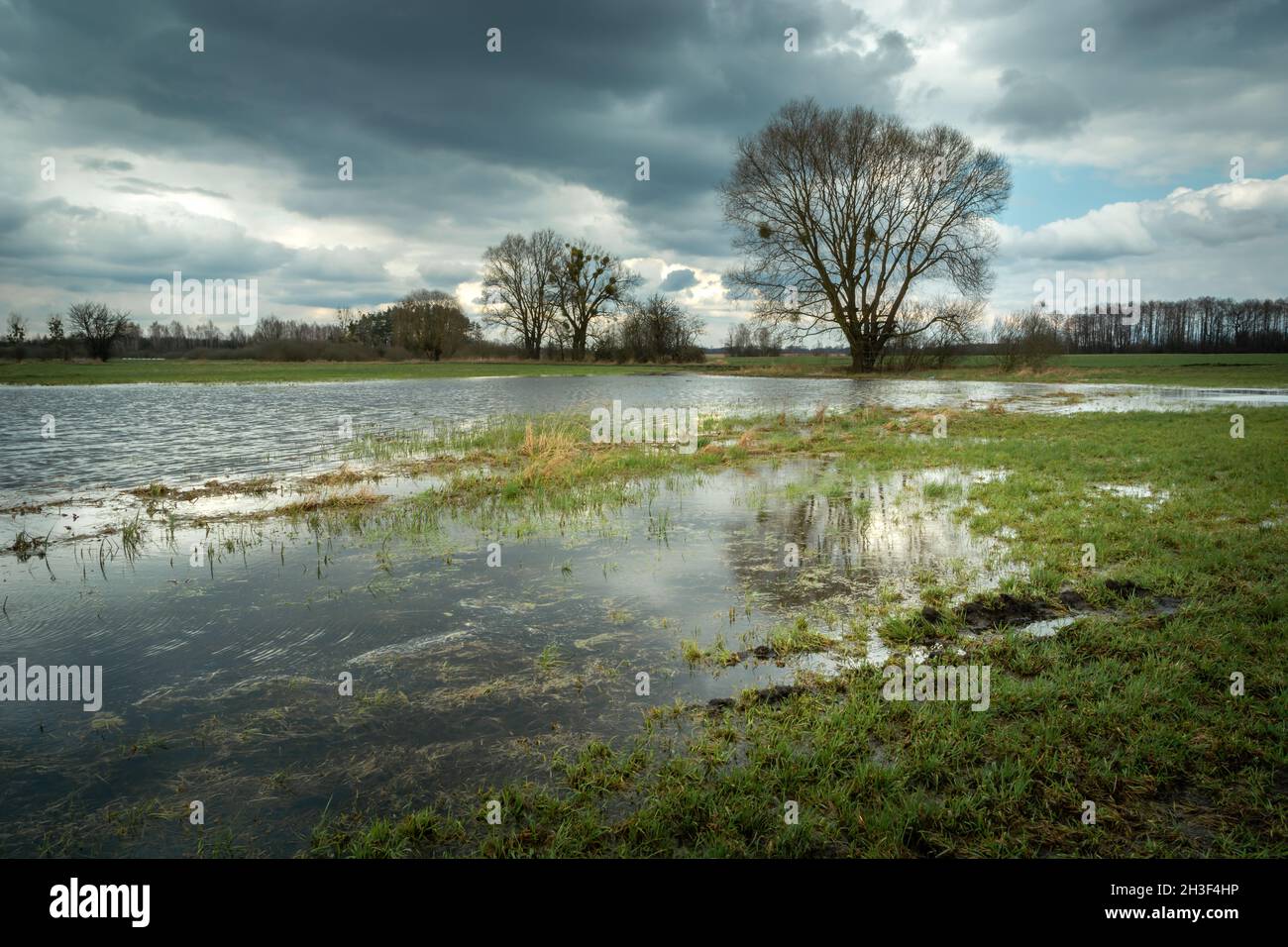 Flooded meadow hi-res stock photography and images - Alamy