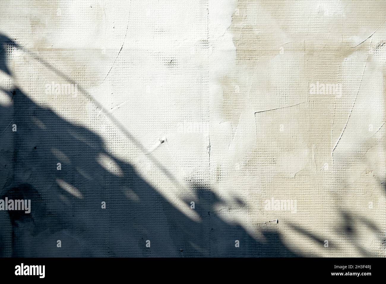Leaves shadow with harsh light on an old cracked, plastered wall. Hard ...