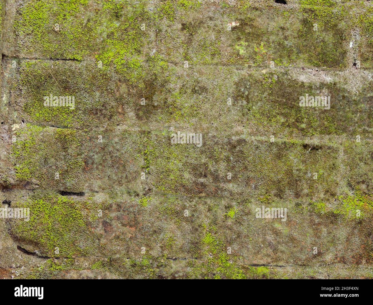 Stone texture background covered by moss Stock Photo - Alamy