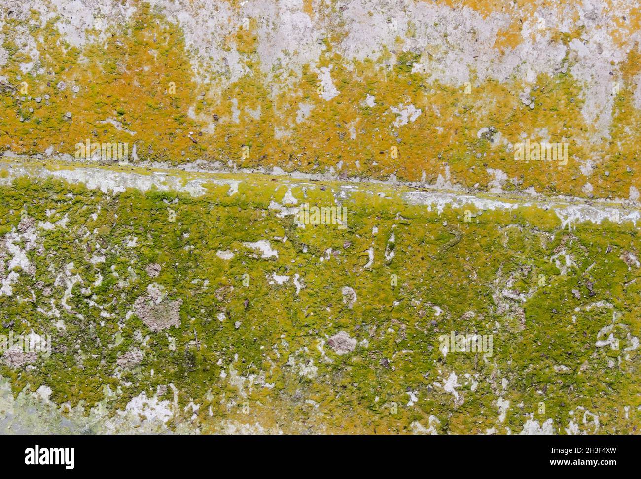 Stone texture background covered by moss Stock Photo - Alamy