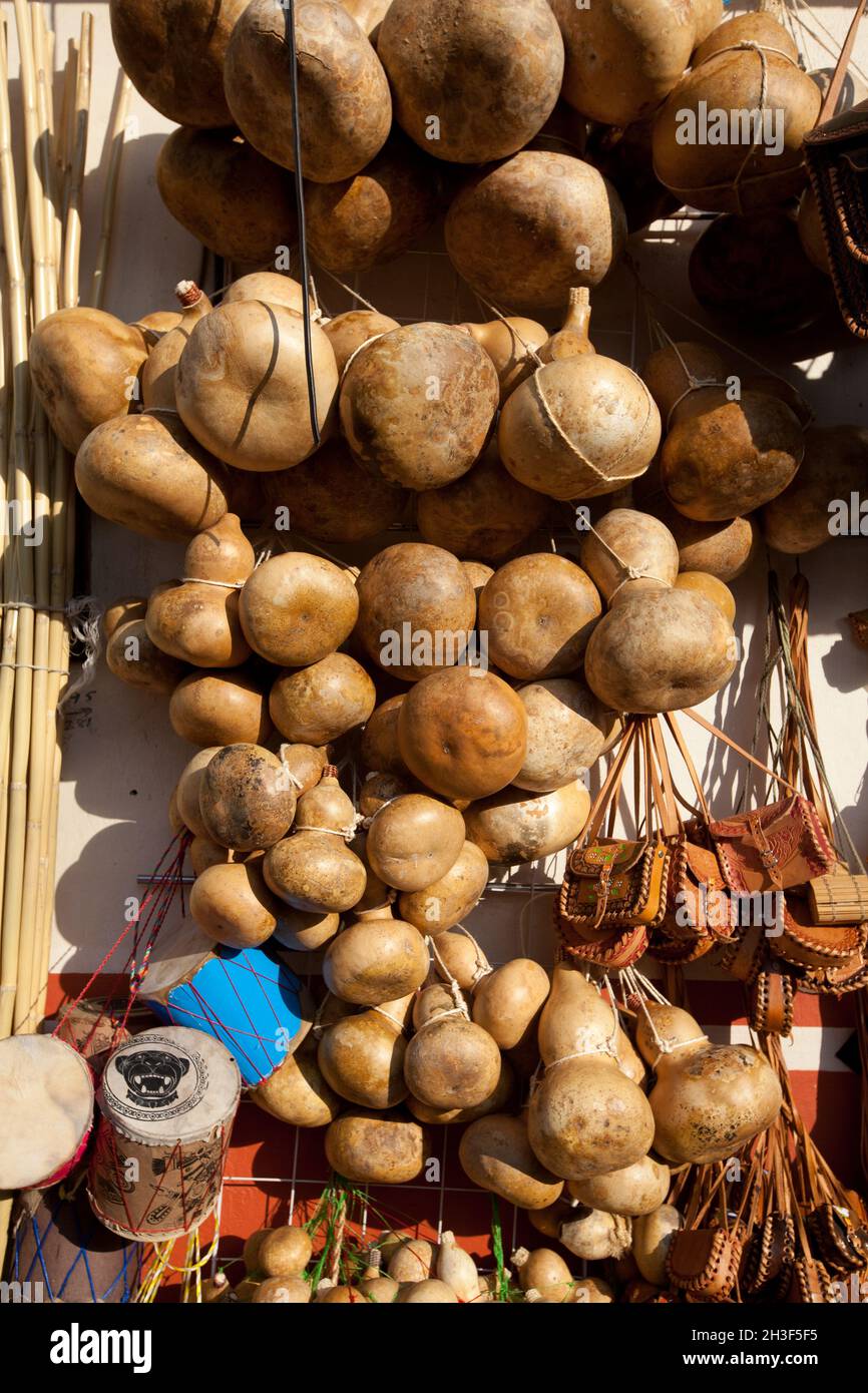 Vertical shot of guajes that are used as containers for drinks Stock ...