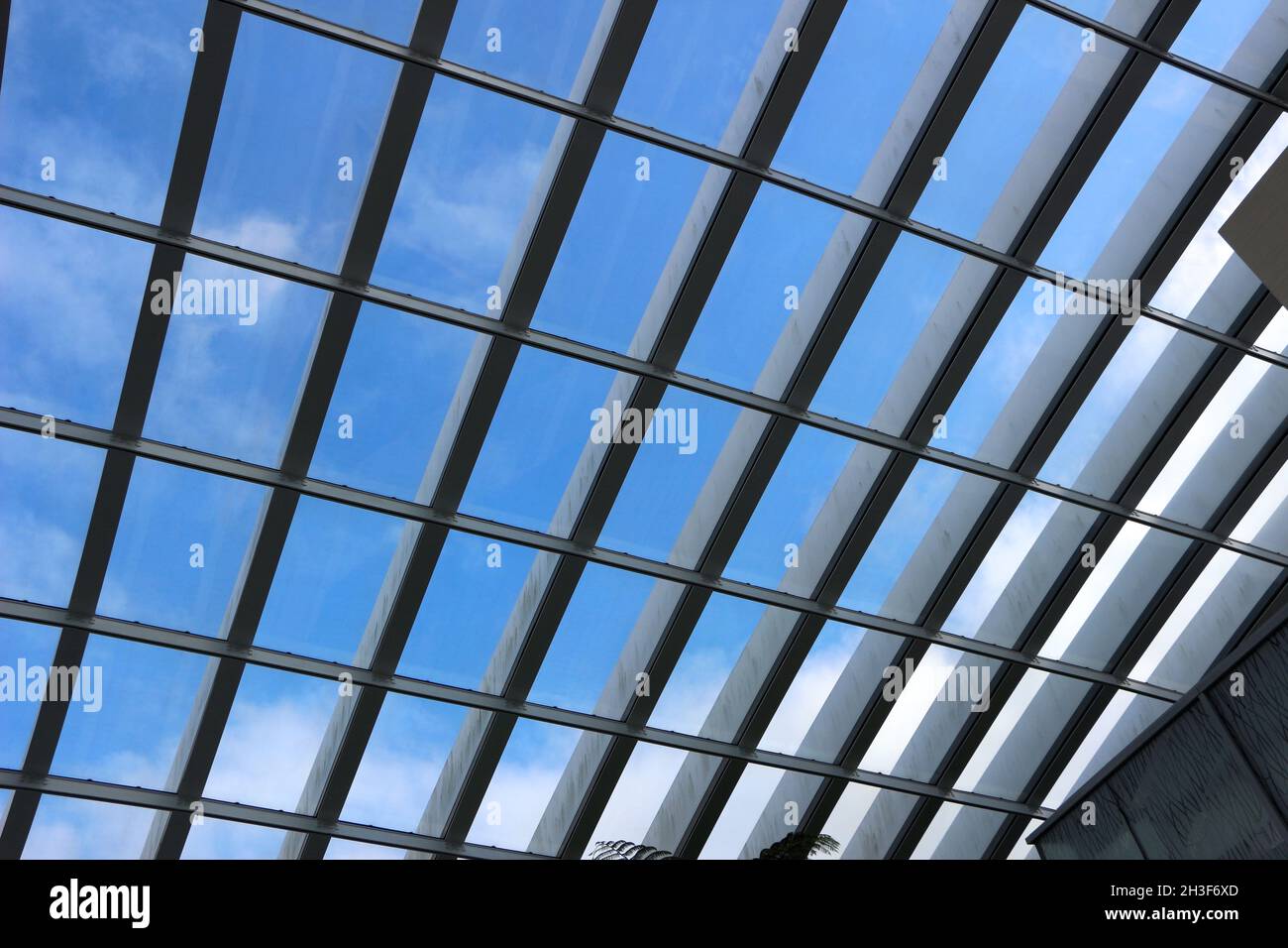 Looking up at the grid metal and glass roof of the Sky Garden 20 ...