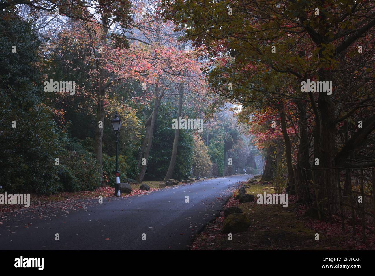 Sutton park in autumn sutton hi-res stock photography and images - Alamy