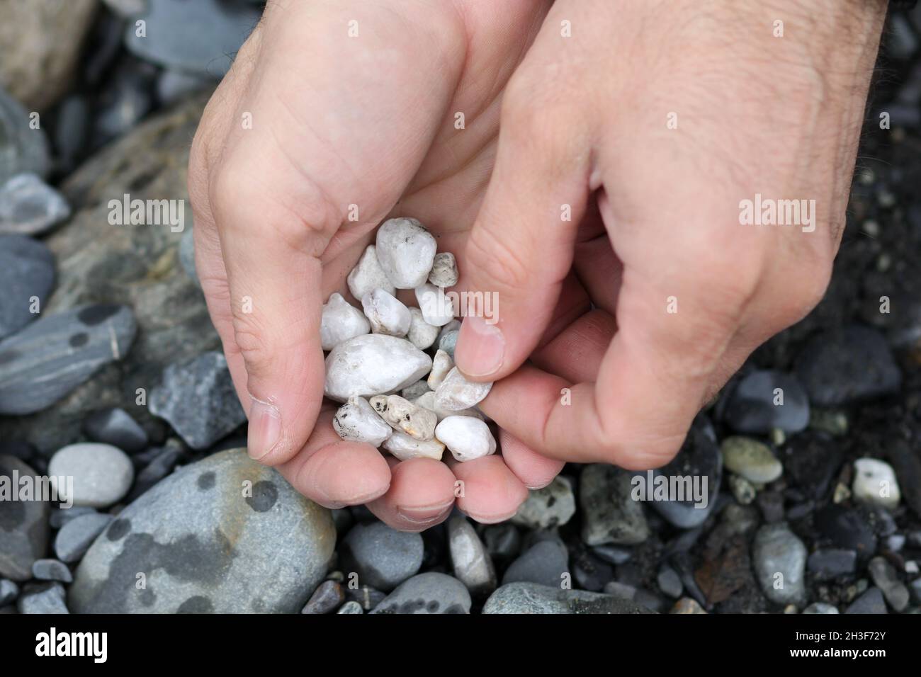 Hand holding stone beach hi-res stock photography and images - Alamy