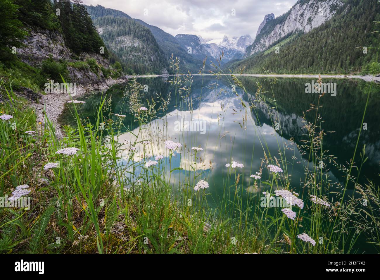 Dachstein spring gosau austria hi-res stock photography and images - Alamy