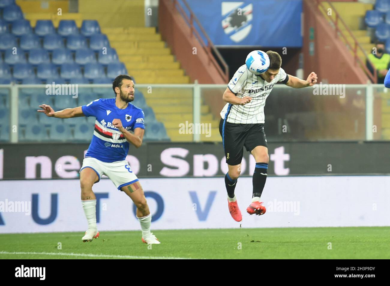 Joakim maehle atalanta hi-res stock photography and images - Alamy