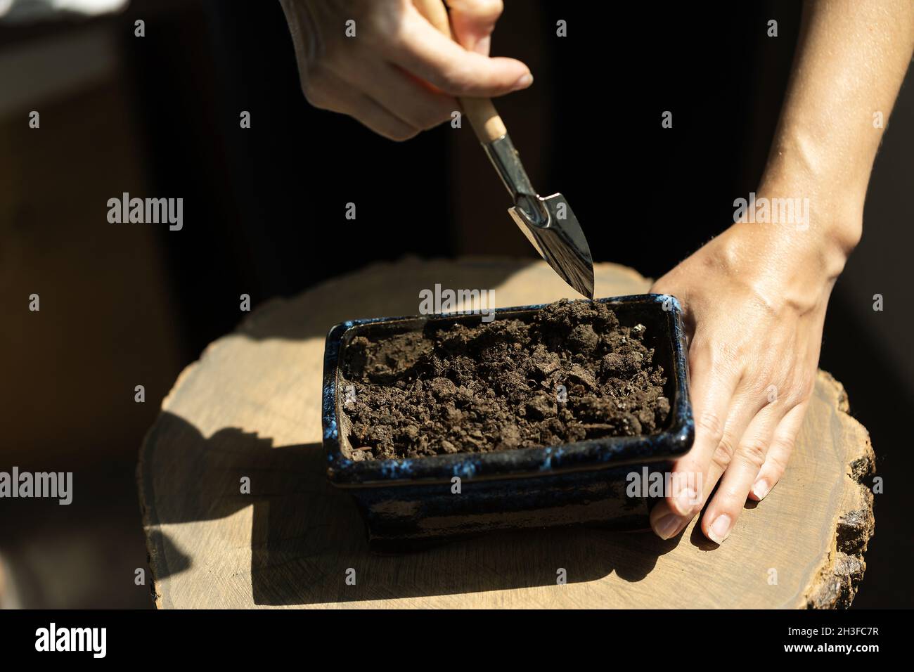 Preparing a flower pot for plant transplantation Stock Photo - Alamy