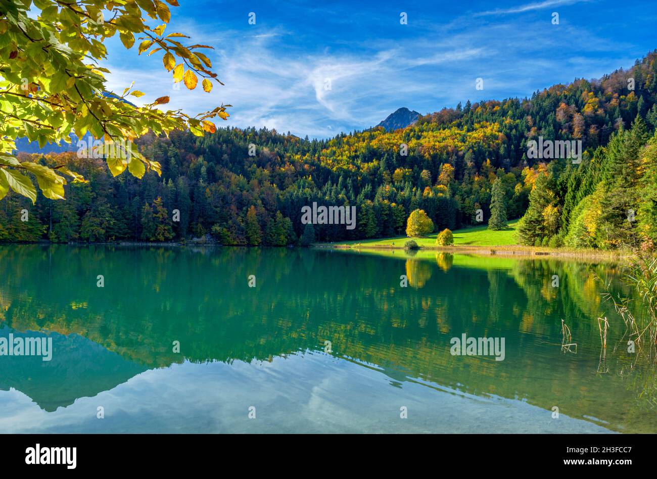 Allgau autumn hi-res stock photography and images - Alamy