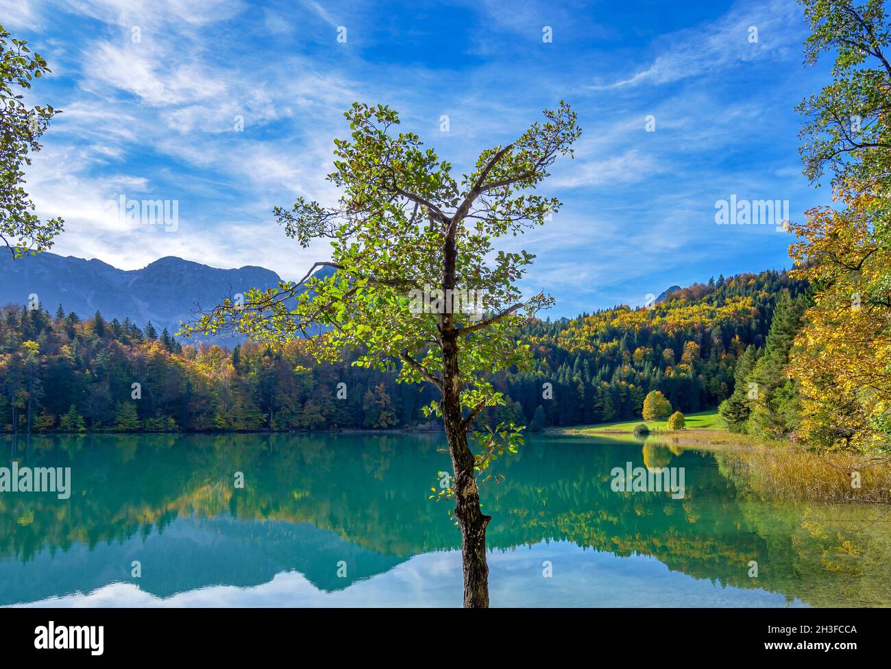 Allgau autumn hi-res stock photography and images - Alamy