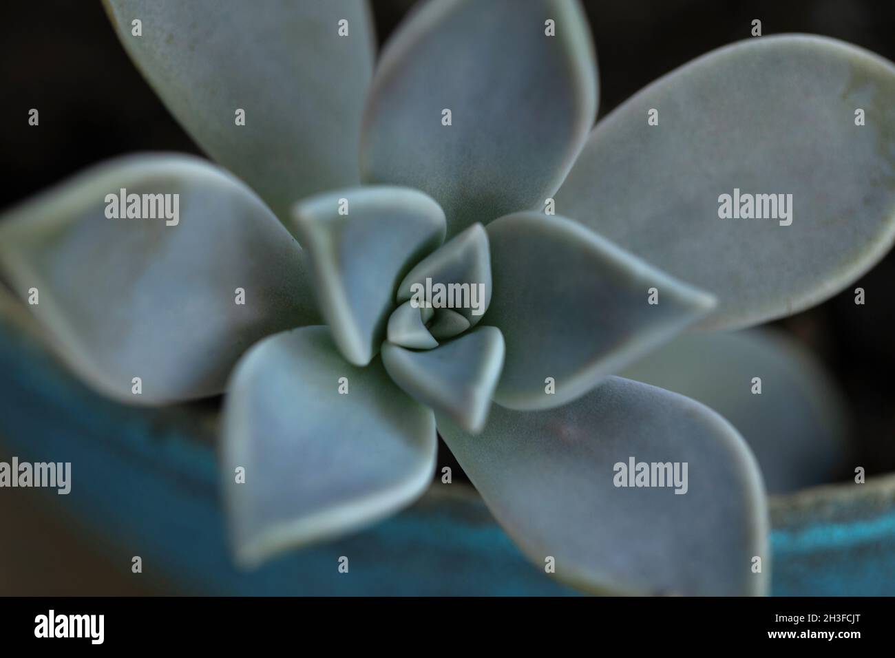 Sun has risen hi-res stock photography and images - Alamy