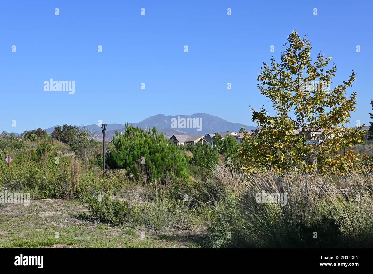 Bosque natural hi-res stock photography and images - Alamy