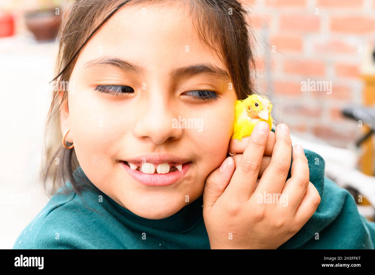Bald canary hi-res stock photography and images - Alamy